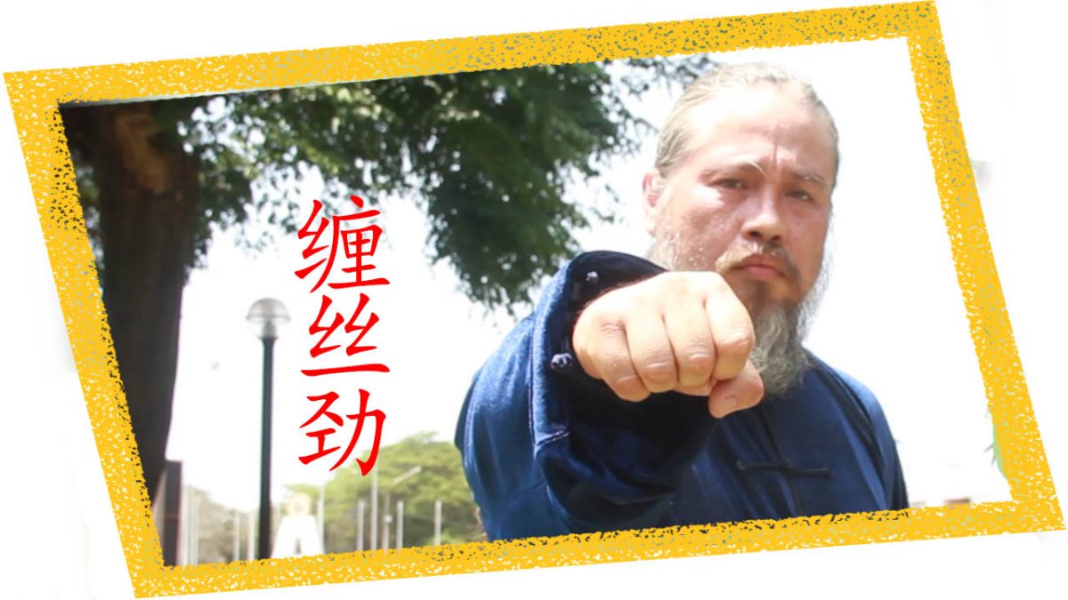 Los cinco ejercicios de Chan Si Jin - Tai Chi Chuan del estilo Chen